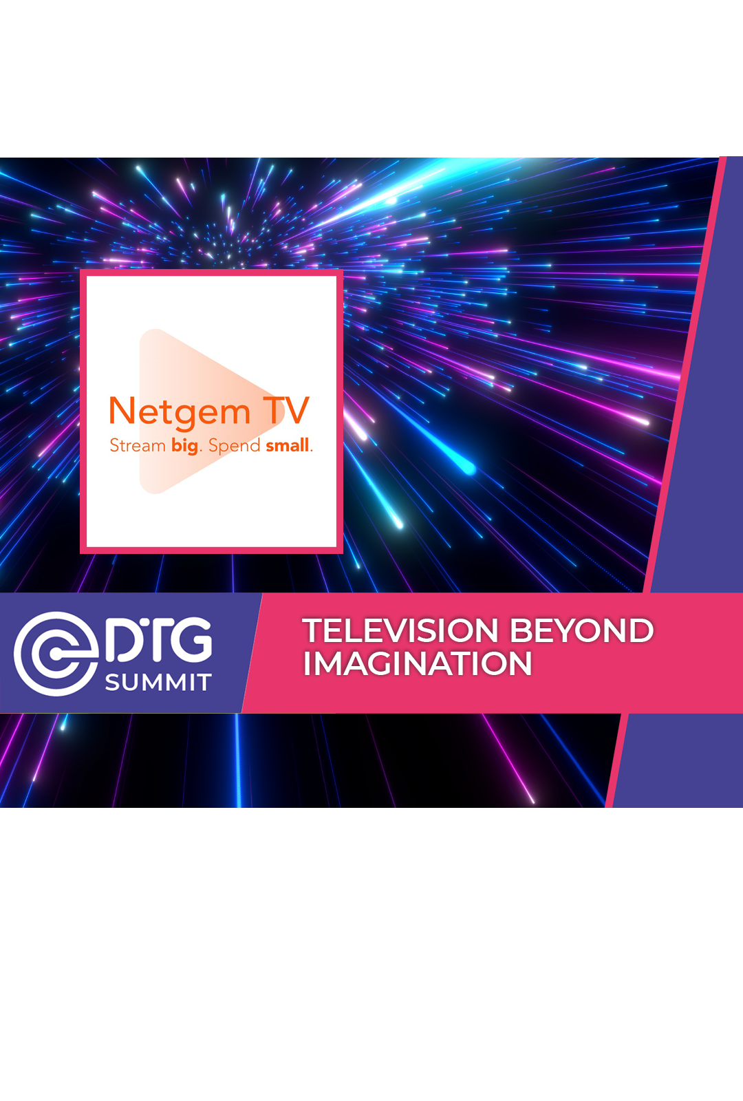 Partner Profile... Netgem - DTG
